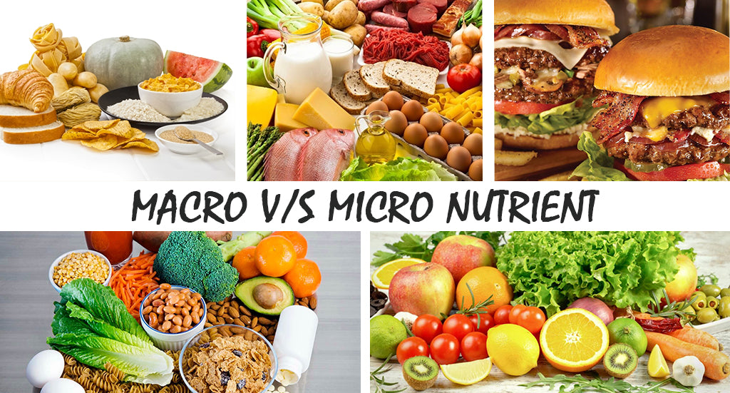 Are Macronutrients Essential Than Micronutrients? – Steadfast Nutrition