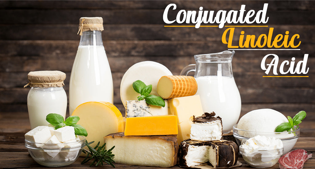 WHAT IS CONJUGATED LINOLEIC ACID (CLA)? – Steadfast Nutrition