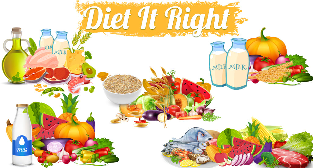 UNDERTSTANDING DIFFERENT DIETS – Steadfast Nutrition