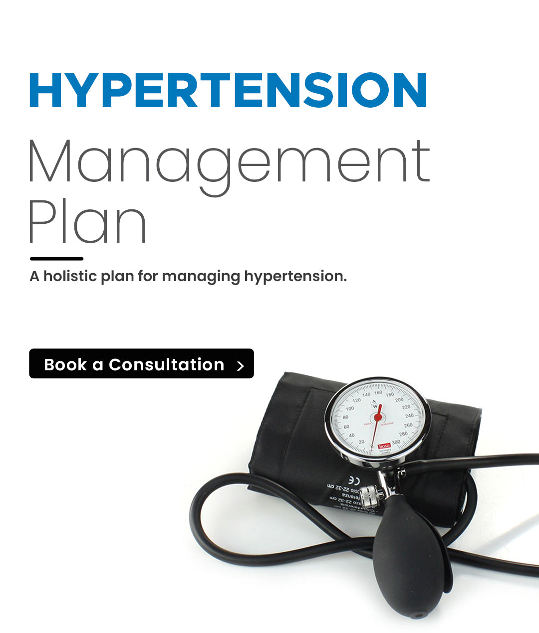 Best Hypertension Diet Plan – Steadfast Nutrition